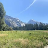 Sentinel Meadow Cook's Meadow Loop Trail, California - 3,834 Reviews ...