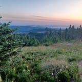 McNeil Point Trail, Oregon - 2,968 Reviews, Map | AllTrails