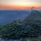 McNeil Point Trail, Oregon - 2,968 Reviews, Map | AllTrails