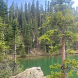 American Lake Trail, Colorado - 1,630 Reviews, Map | AllTrails