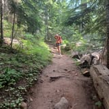 McNeil Point Trail, Oregon - 2,968 Reviews, Map | AllTrails