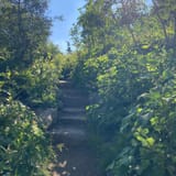 Mount Judah Loop Trail, California - 2,416 Reviews, Map | AllTrails