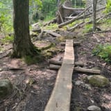 Boston Lot Lake, New Hampshire - 760 Reviews, Map | AllTrails