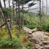 Mount Adams via Air Line Trail, New Hampshire - 763 Reviews, Map ...