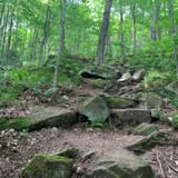 Mount Adams via Air Line Trail, New Hampshire - 763 Reviews, Map ...