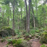 Mount Adams via Air Line Trail, New Hampshire - 763 Reviews, Map ...