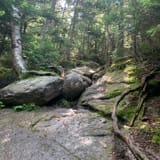 Mount Adams via Air Line Trail, New Hampshire - 763 Reviews, Map ...