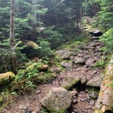 Mount Adams via Air Line Trail, New Hampshire - 763 Reviews, Map ...