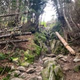 Mount Adams via Air Line Trail, New Hampshire - 763 Reviews, Map ...