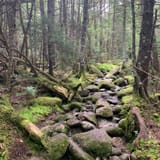 Mount Adams via Air Line Trail, New Hampshire - 763 Reviews, Map ...