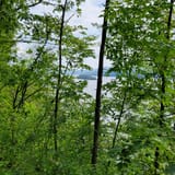 Norrie Point Trail, New York - 782 Reviews, Map | AllTrails