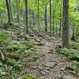 Hanging Rock, Virginia - 1,217 Reviews, Map | AllTrails