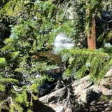 Middle St. Vrain Trail, Colorado - 976 Reviews, Map | AllTrails