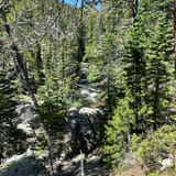 Middle St. Vrain Trail, Colorado - 976 Reviews, Map | AllTrails