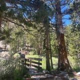 Ruby Lake Trail, California - 525 Reviews, Map | AllTrails