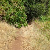 Phantom Falls Loop, California - 1,212 Reviews, Map | AllTrails