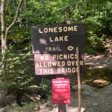 Lonesome Lake Trail, New Hampshire - 4,008 Reviews, Map | AllTrails