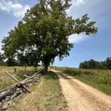 The Billy Yank Trail, Pennsylvania - 690 Reviews, Map | AllTrails