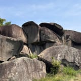 The Billy Yank Trail, Pennsylvania - 690 Reviews, Map | AllTrails