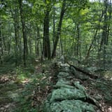 Deep Woods and Road Loop Trail, Connecticut - 325 Reviews, Map | AllTrails