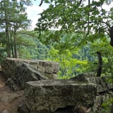 Whitaker Point Trail (Hawksbill Crag), Arkansas - 4,041 Reviews, Map ...