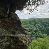 Whitaker Point Trail (Hawksbill Crag), Arkansas - 4,041 Reviews, Map ...