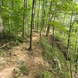 Whitaker Point Trail (Hawksbill Crag), Arkansas - 4,041 Reviews, Map ...