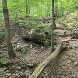 Whitaker Point Trail (Hawksbill Crag), Arkansas - 4,004 Reviews, Map ...
