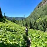 Booth Falls, Colorado - 5,627 Reviews, Map | AllTrails