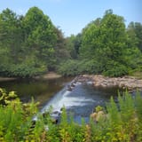 Levee Loop, Pennsylvania - 294 Reviews, Map | AllTrails