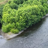 Levee Loop, Pennsylvania - 294 Reviews, Map | AllTrails