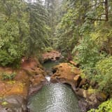 Lake to Lake Trail Loop via Lacamas Creek, Washington - 2,676 Reviews ...