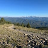 Chief Mountain Trail, Colorado - 9,323 Reviews, Map | AllTrails