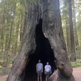 Founders Grove Nature Trail, California - 1,325 Reviews, Map | AllTrails