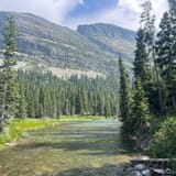 Swiftcurrent Nature Trail, Montana - 971 Reviews, Map | AllTrails