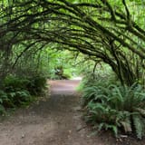 Point Defiance Park Outer Loop, Washington - 4,618 Reviews, Map | AllTrails