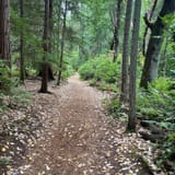 Point Defiance Park Outer Loop, Washington - 4,695 Reviews, Map | AllTrails