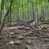 Mount Arab Trail, New York - 2,400 Reviews, Map | AllTrails