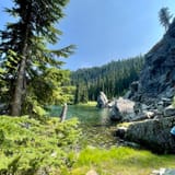 Thorp Lake via Thorp Creek Trail, Washington - 171 Reviews, Map | AllTrails