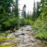 Thorp Lake via Thorp Creek Trail, Washington - 171 Reviews, Map | AllTrails