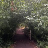 Tryon Creek Triple Bridge Loop, Oregon - 1,757 Reviews, Map | AllTrails