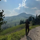 Dunraven Pass to Mount Washburn, Montana - 1,872 Reviews, Map | AllTrails