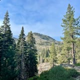 Grass Lake, California - 600 Reviews, Map | AllTrails