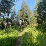Grass Lake, California - 600 Reviews, Map | AllTrails