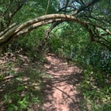 Skippack Creek Loop Trail, Pennsylvania - 4,014 Reviews, Map | AllTrails