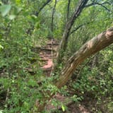 Skippack Creek Loop Trail, Pennsylvania - 4,014 Reviews, Map | AllTrails