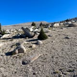 Chicken Spring Lake via Cottonwood Pass Trail, California - 424 Reviews ...