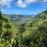 ʻAihualama and Pauoa Flats Trail, Oahu, Hawaii - 1,188 Reviews, Map ...
