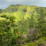 Hauʻula Loop, Oahu, Hawaii - 2,260 Reviews, Map | AllTrails
