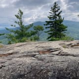 Boulder Loop Trail, New Hampshire - 2,168 Reviews, Map | AllTrails